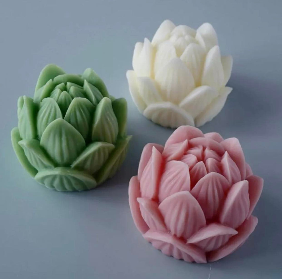 Lotus Flower – Calma CC